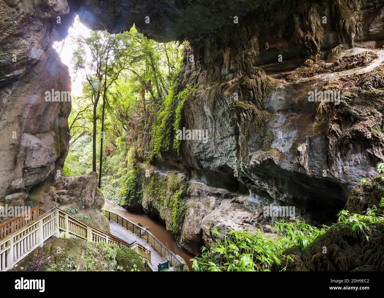 New Zealand cave Stock Photo - Alamy
