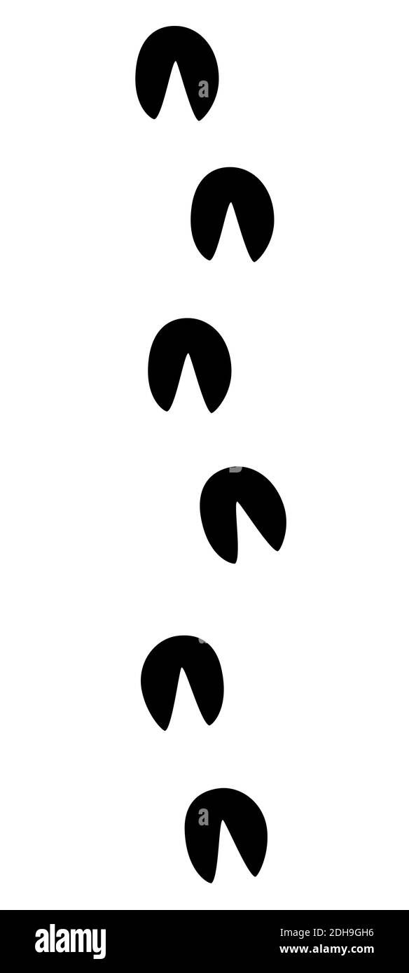 Donkey tracks. Ass hooves footprints - black icon illustration on white ...
