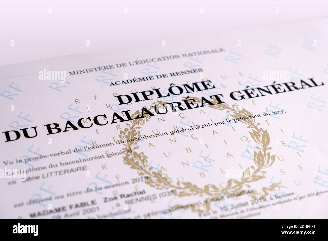 French Baccalaureate High School Diploma Sample