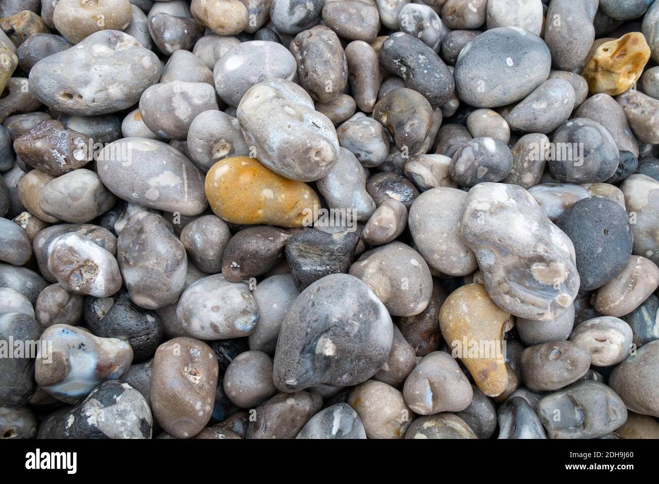 Close up of the pebbles on a beach Stock Photo - Alamy
