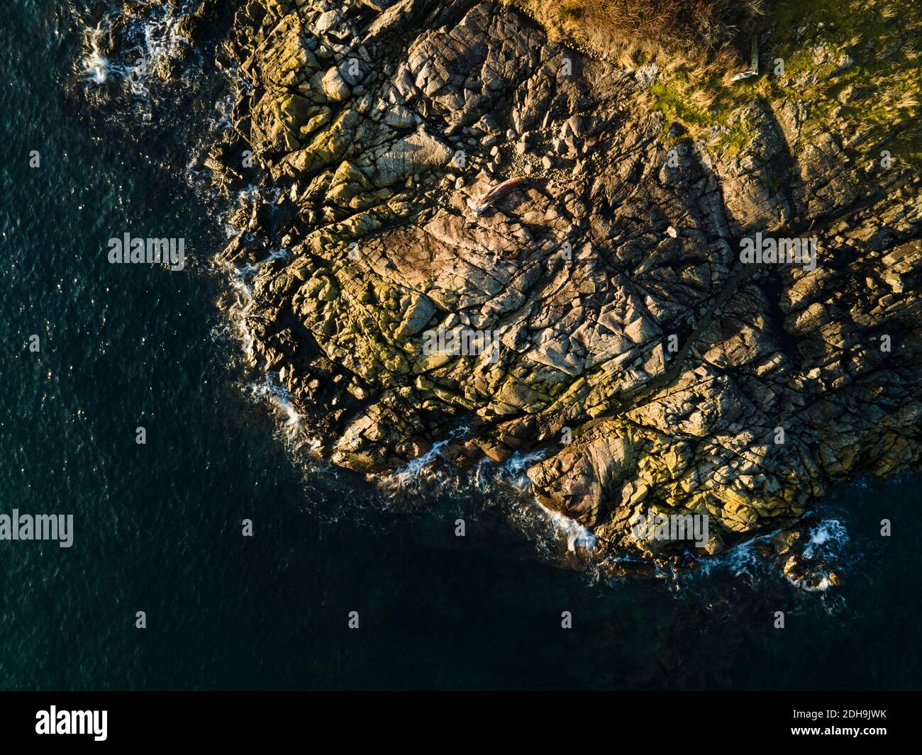 An aerial image of Baynes Beach, Victoria, BC Canada Stock Photo - Alamy