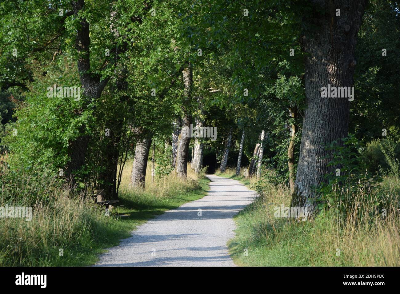 Small avenue on the Ammersee Stock Photo - Alamy