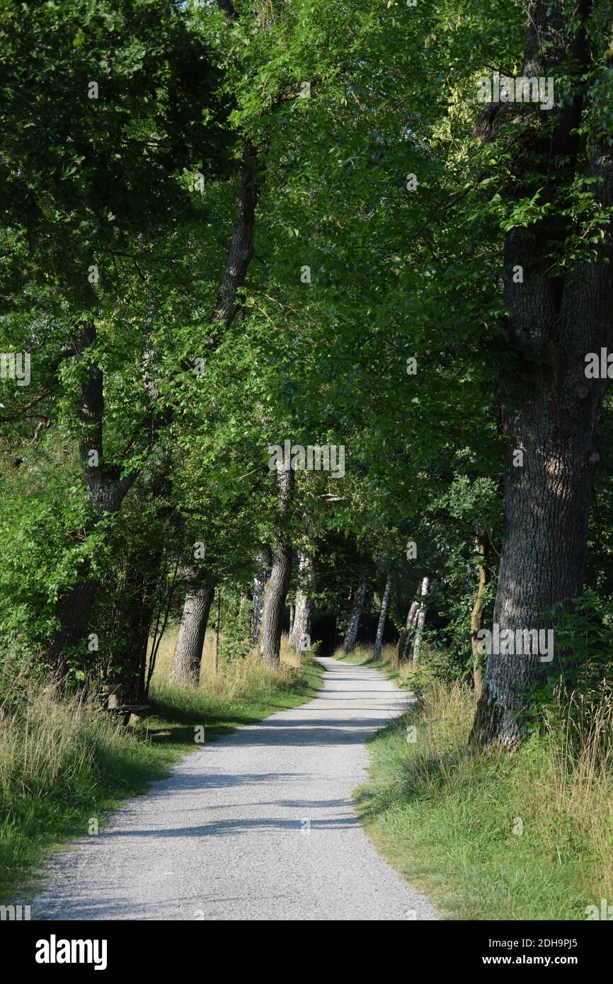 Small avenue on the Ammersee Stock Photo - Alamy