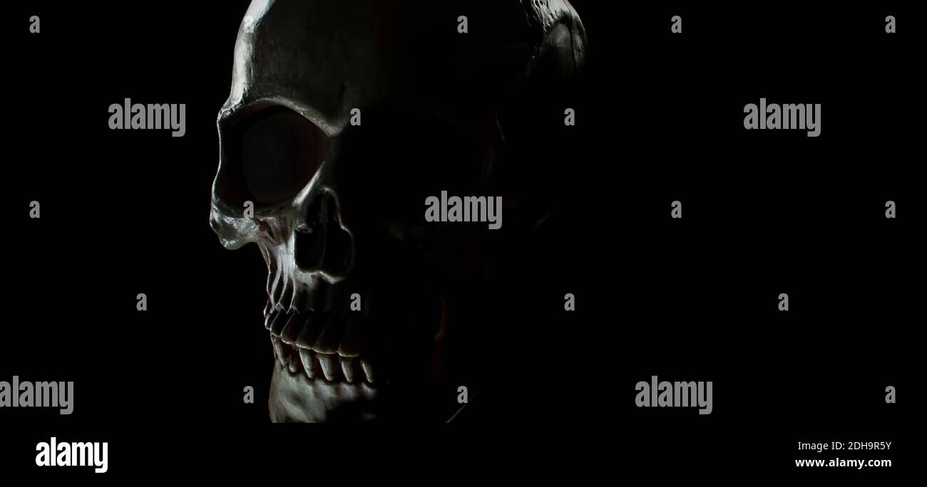 Human skull on a black backgorund with rim lighting wih room for copy ...