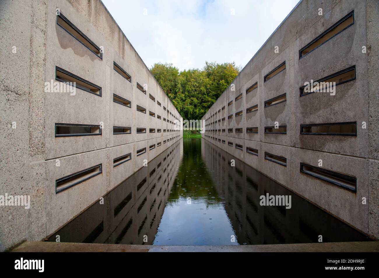 Forest watercourse hi-res stock photography and images - Alamy
