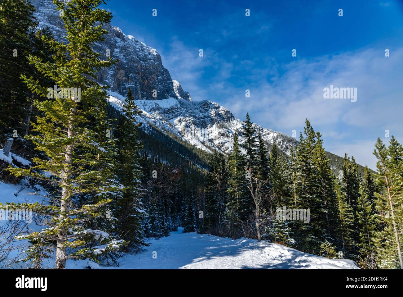 Mountain path covered by snow in the forest in winter season sunny day ...