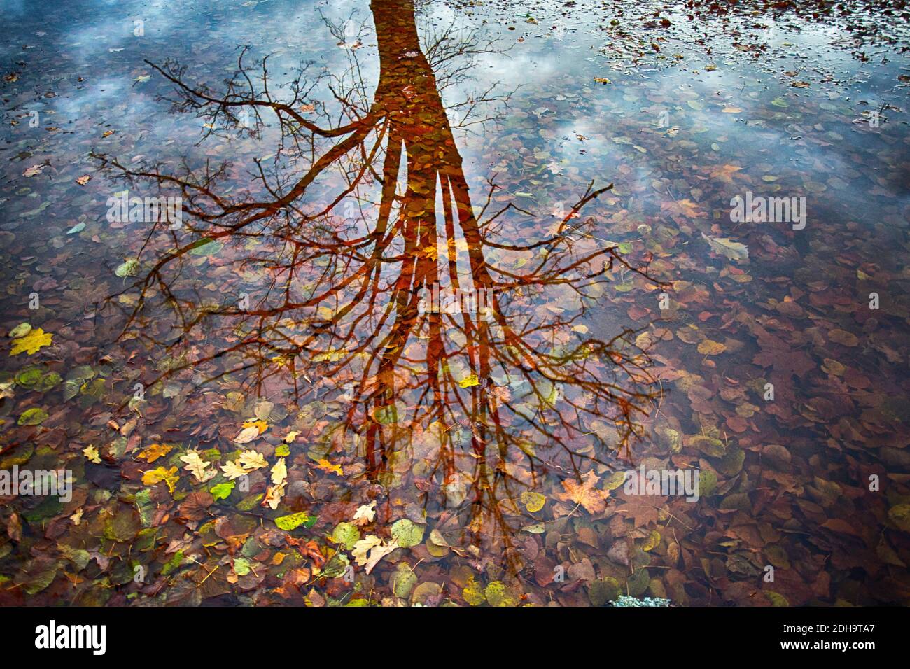 Winter has Come Stock Photo - Alamy