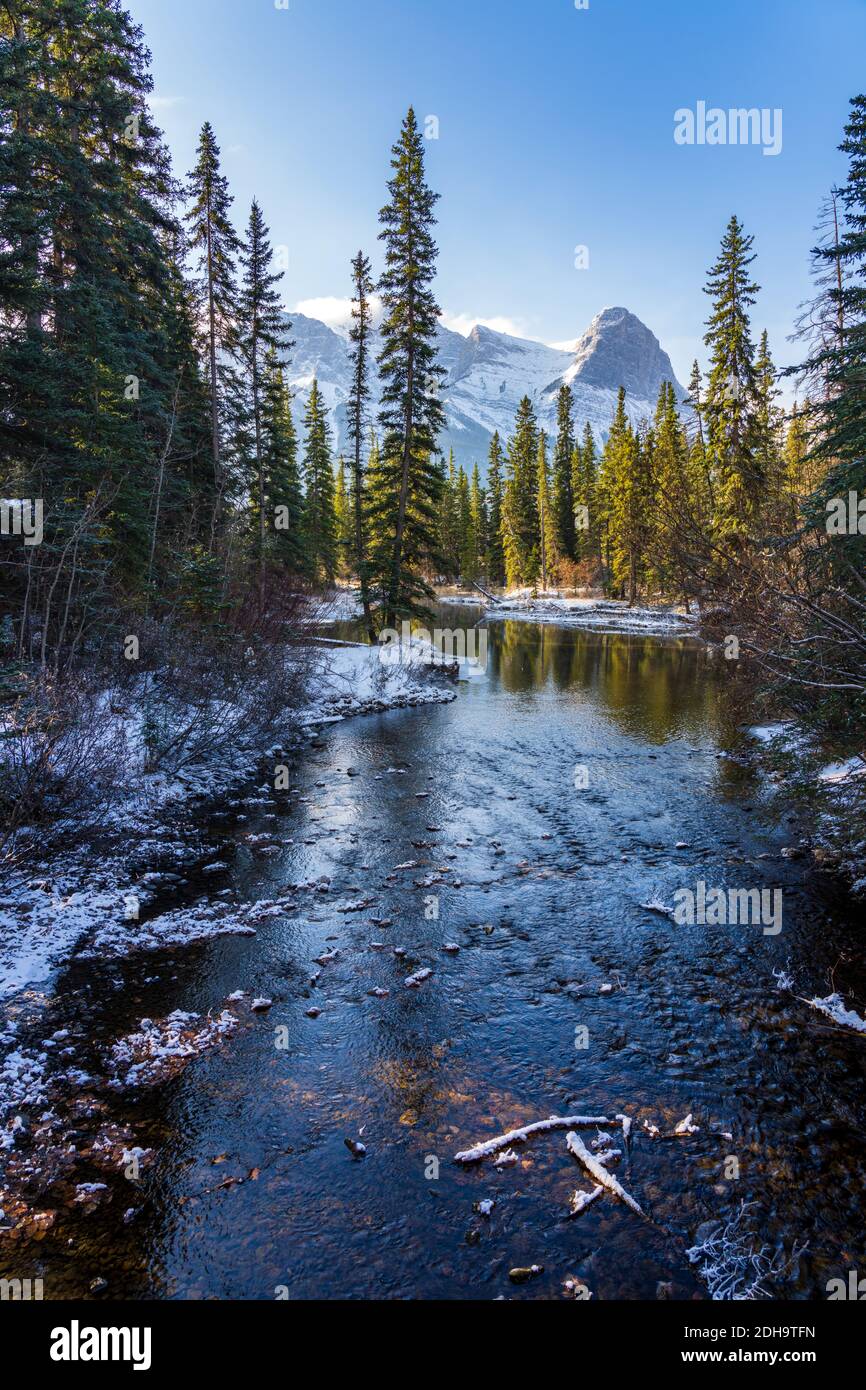 Natural forest trail scenery in early winter season sunny day morning ...