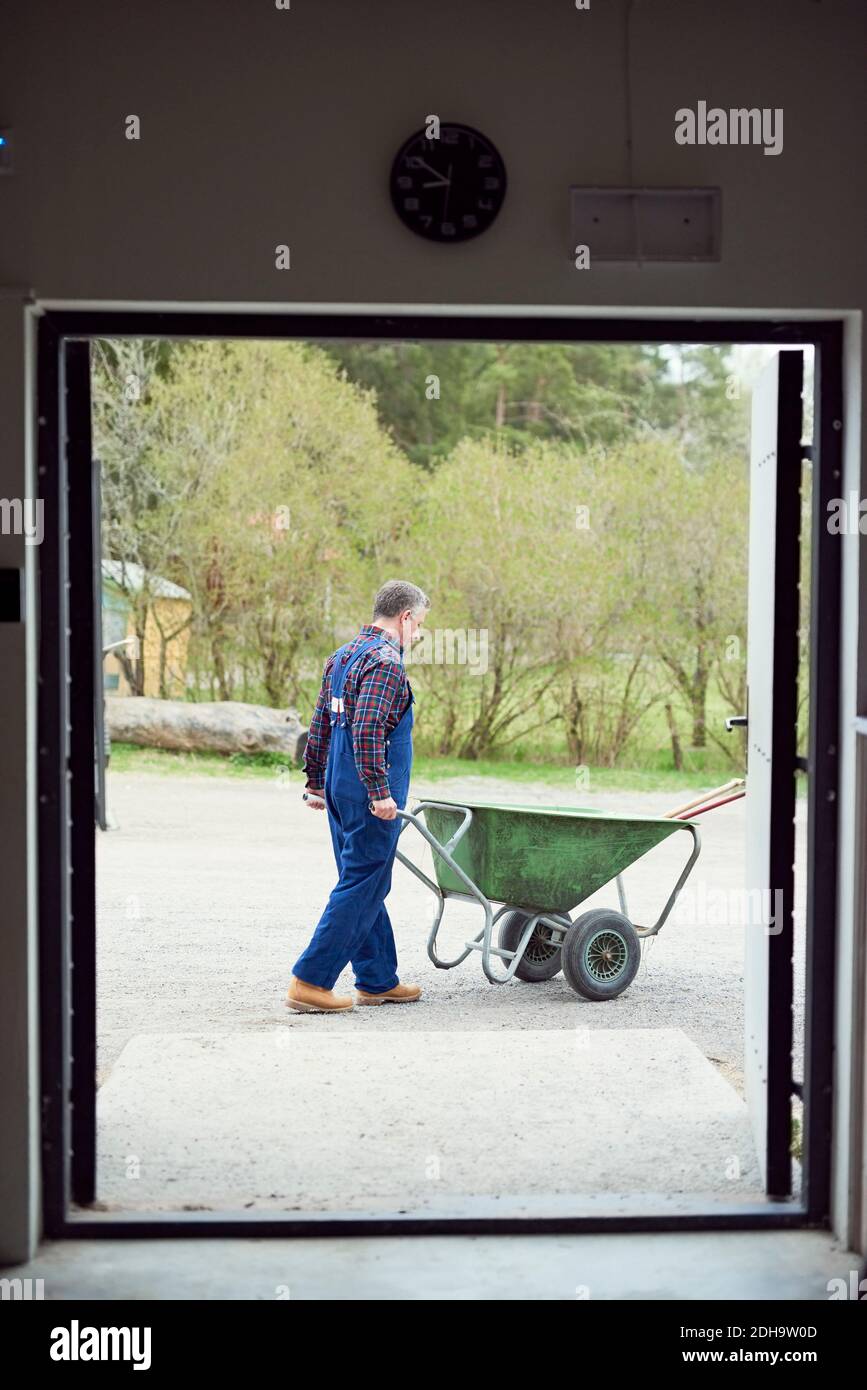 Farmer pushing wheelbarrow seen through doorway of barn Stock Photo - Alamy