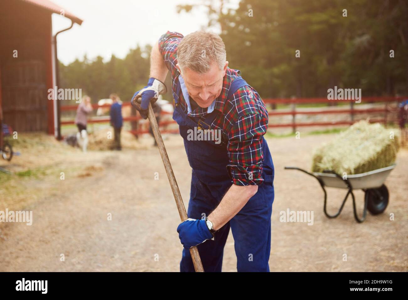 Farmer working with pitchfork in farm Stock Photo - Alamy