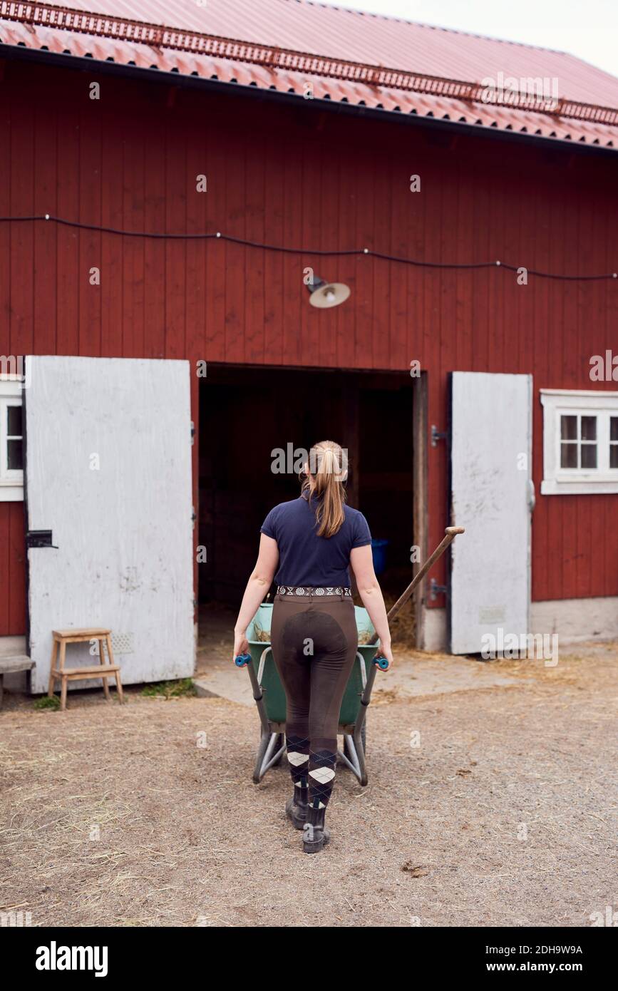 Rear view of female farmer pushing wheelbarrow towards barn Stock Photo ...