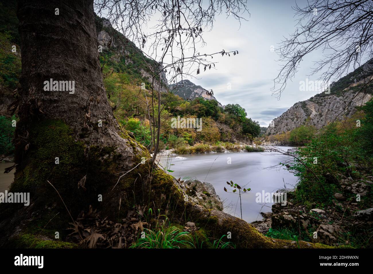 Old arch bridges in Epirus area in Greece.. Arta , Giannena Stock Photo ...