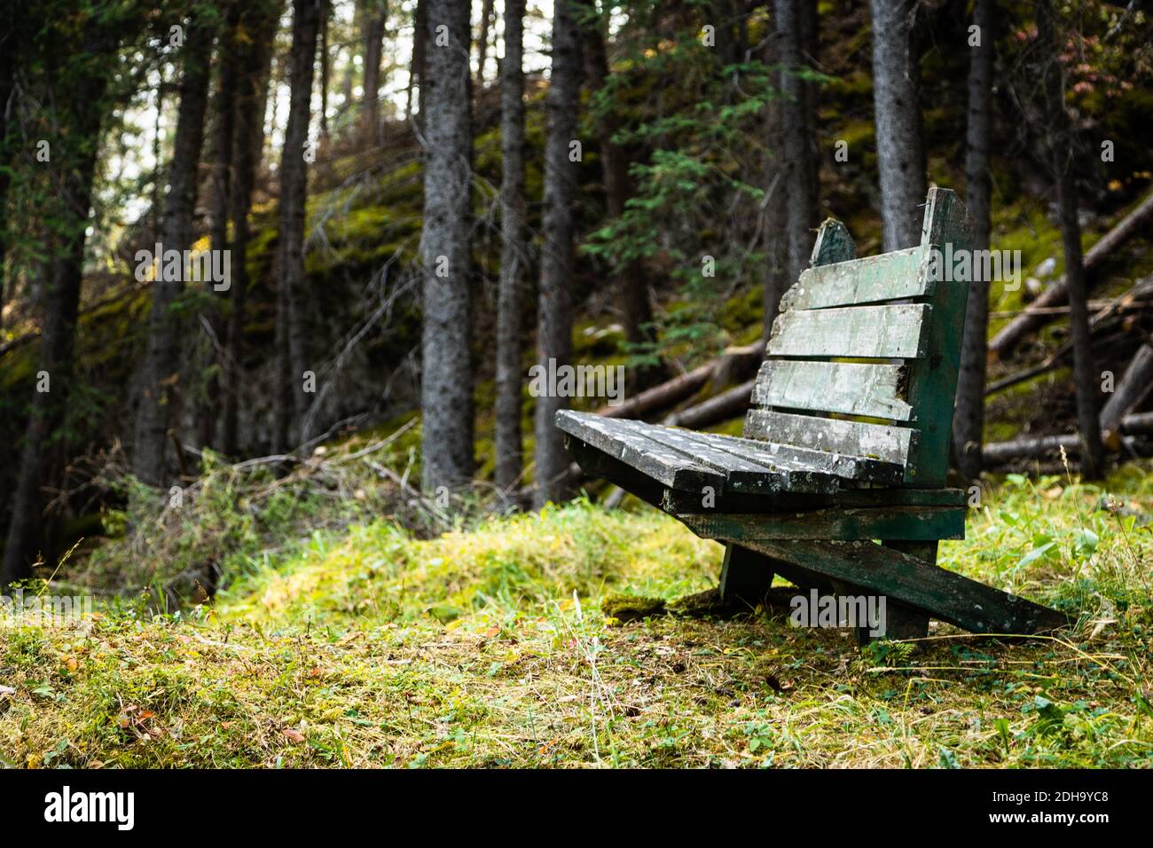 Secluded park bench hi-res stock photography and images - Alamy