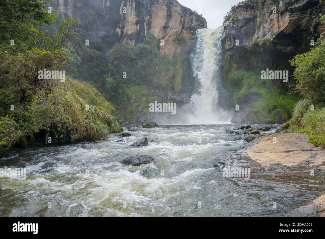 Waterfall on Rio Pita flowing into the cloudforest over an old lava ...