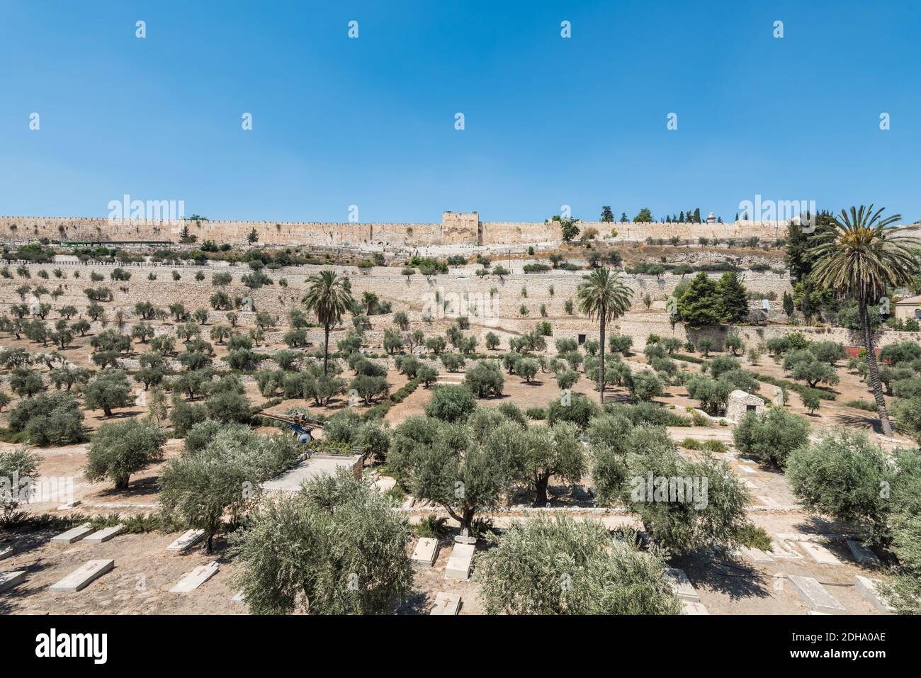 The Kidron Valley, separating the Temple Mount from the Mount of Olives ...
