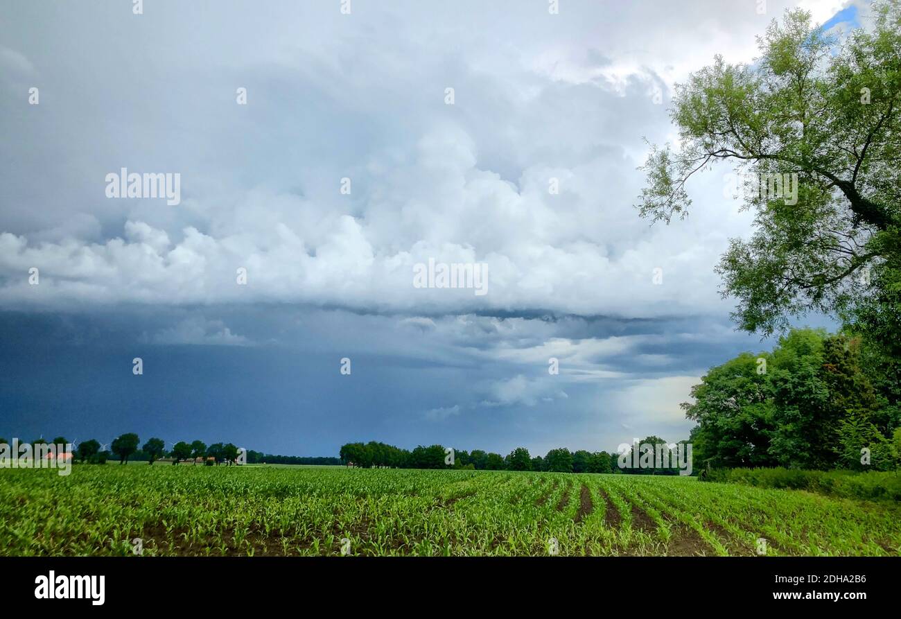 The coming of a big storm, tempest or hurricane over the countryside ...