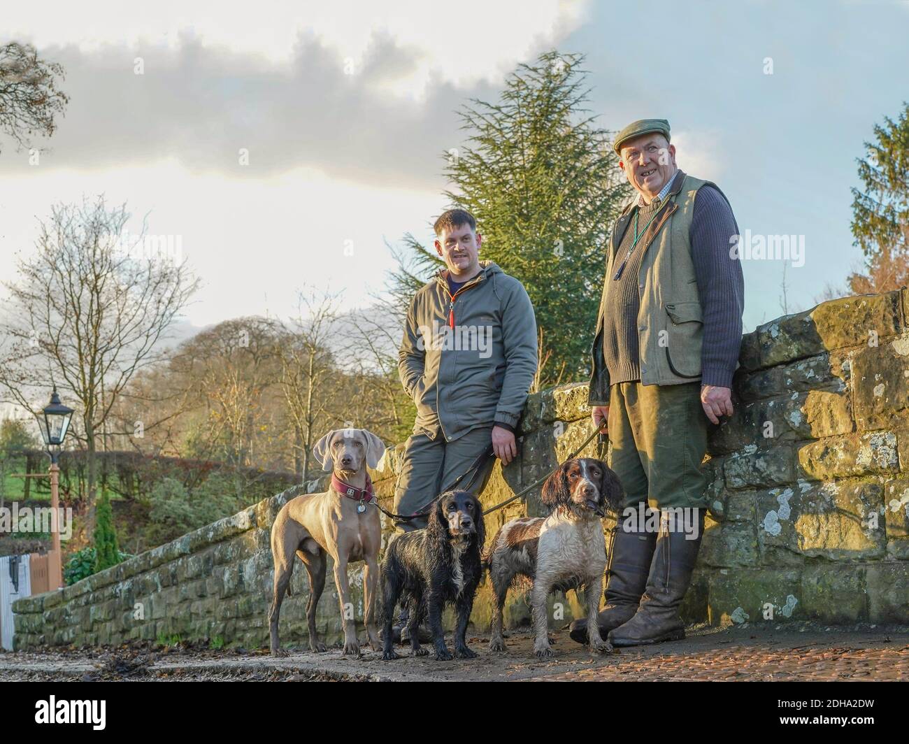Working dogs hi-res stock photography and images - Alamy