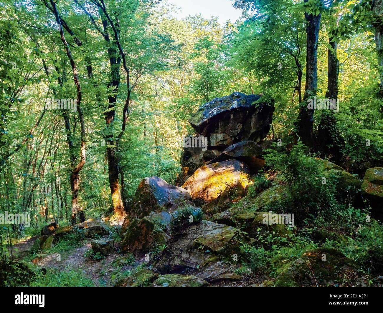 Huge densely piled stones overgrown with moss are illuminated by ...