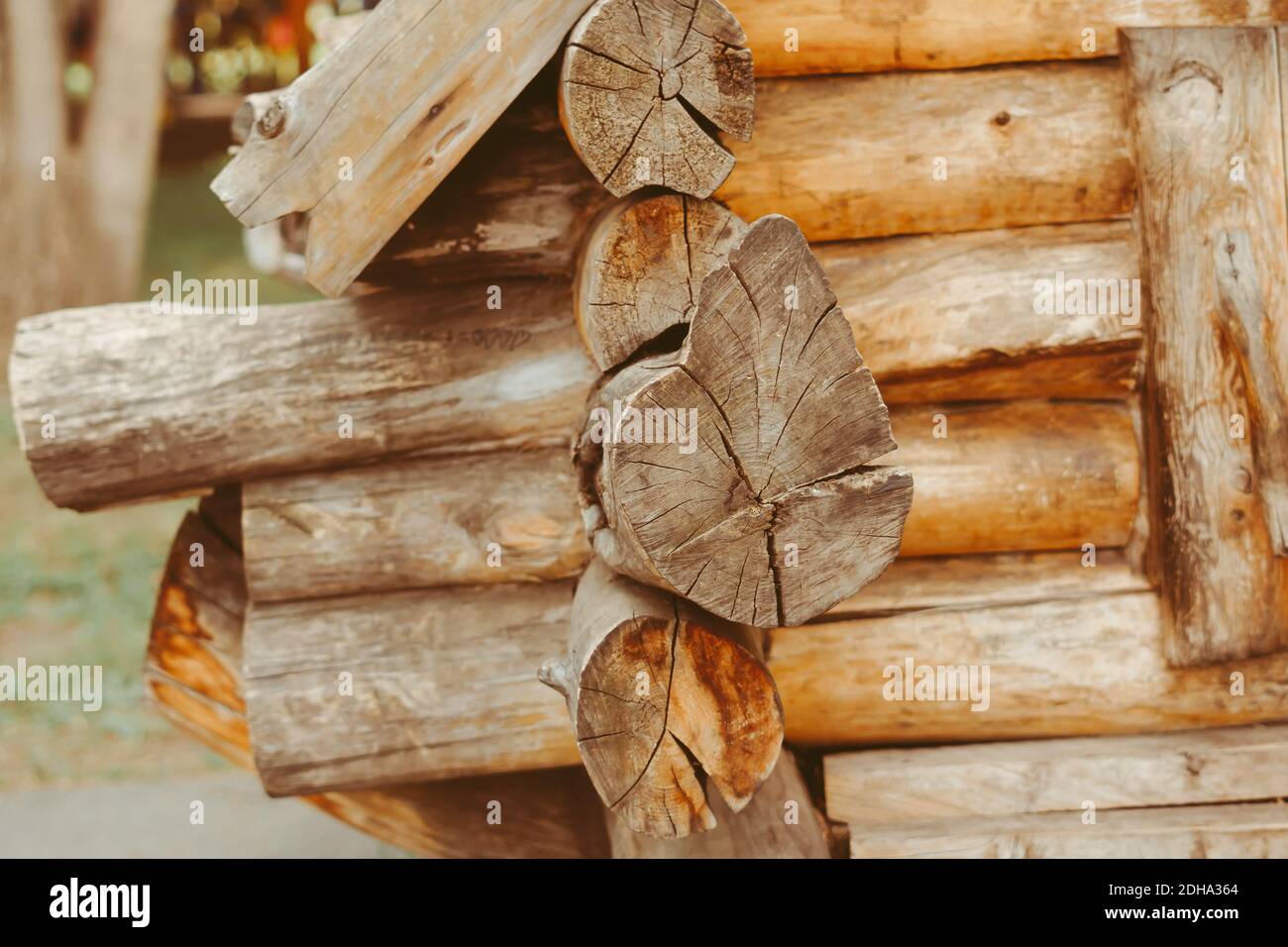 a hut made of round logs, crooked logs and an old window Stock Photo ...