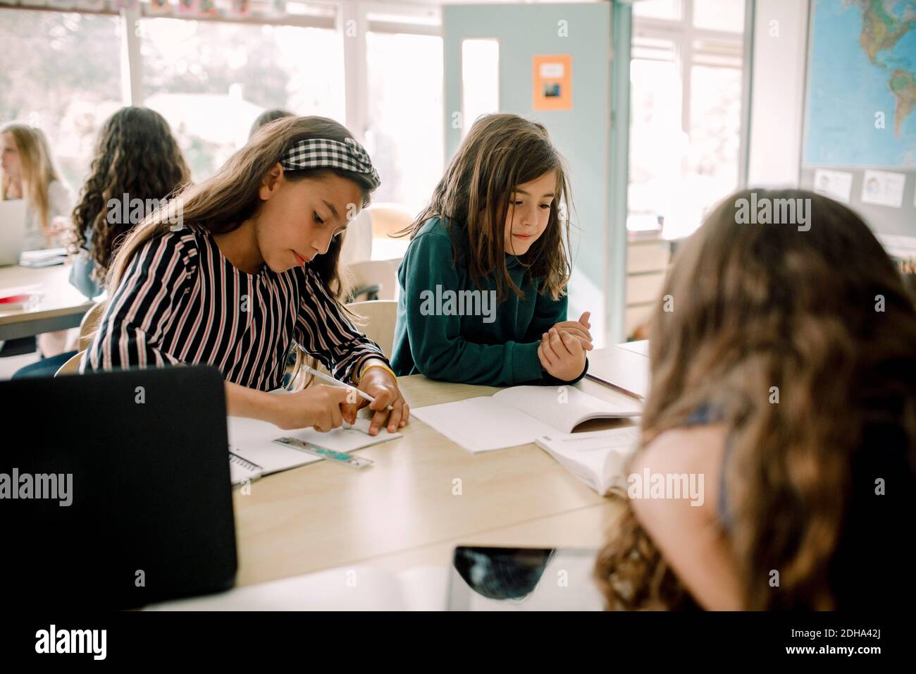 Female students studying at table in classroom Stock Photo - Alamy