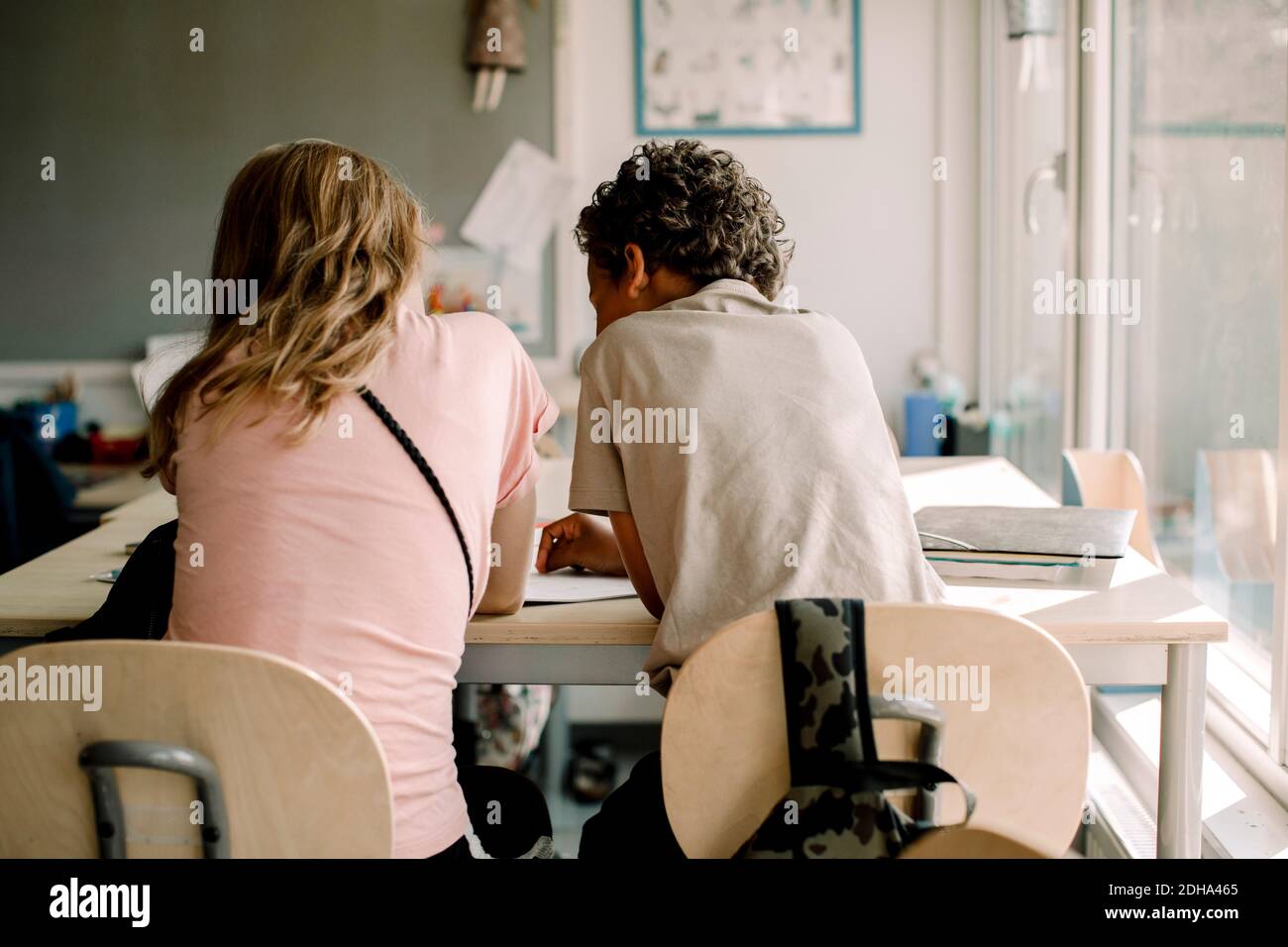Rear view of male and female students studying together in classroom Stock Photo - Alamy