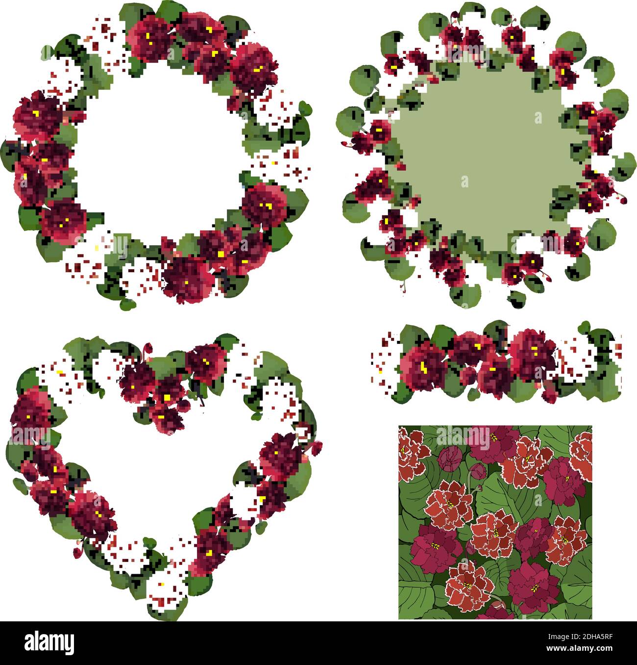 Vector set of flowering African violets with flowers of different ...