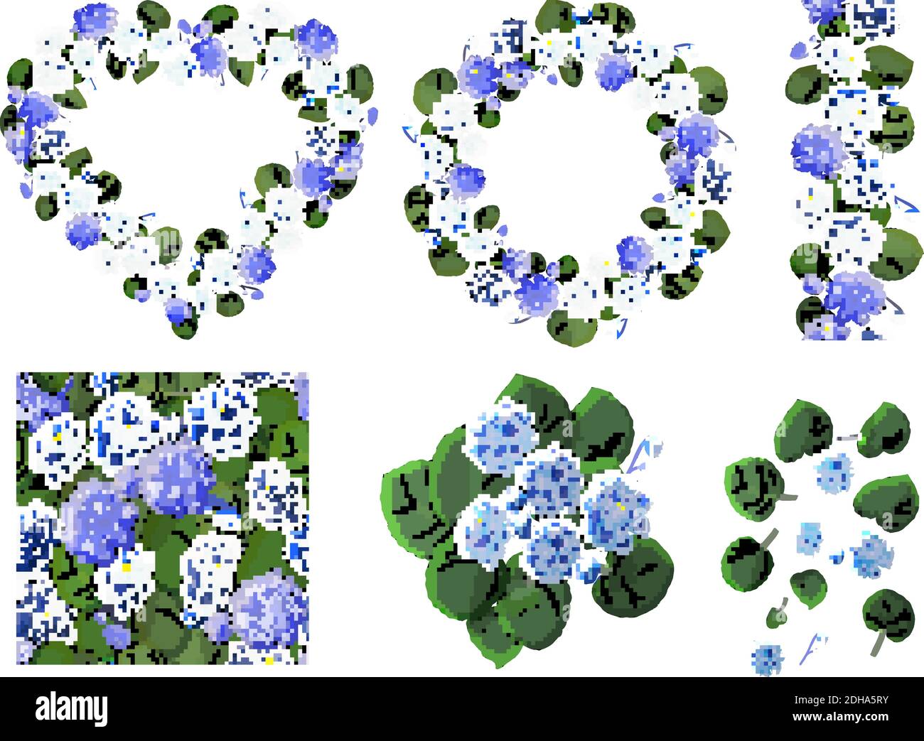 Vector set of flowering African violets with flowers of different ...