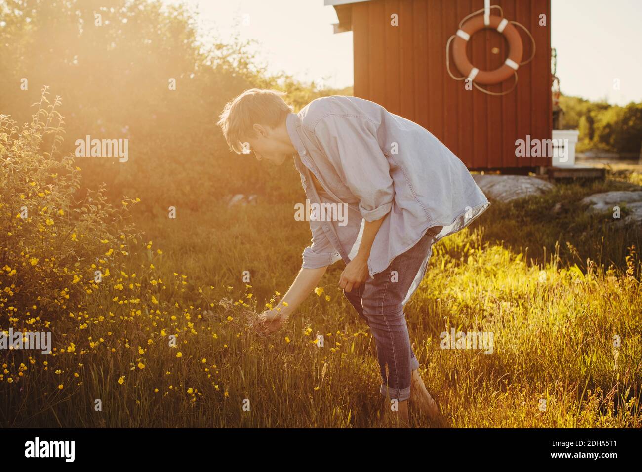 Bending flower hi-res stock photography and images - Alamy