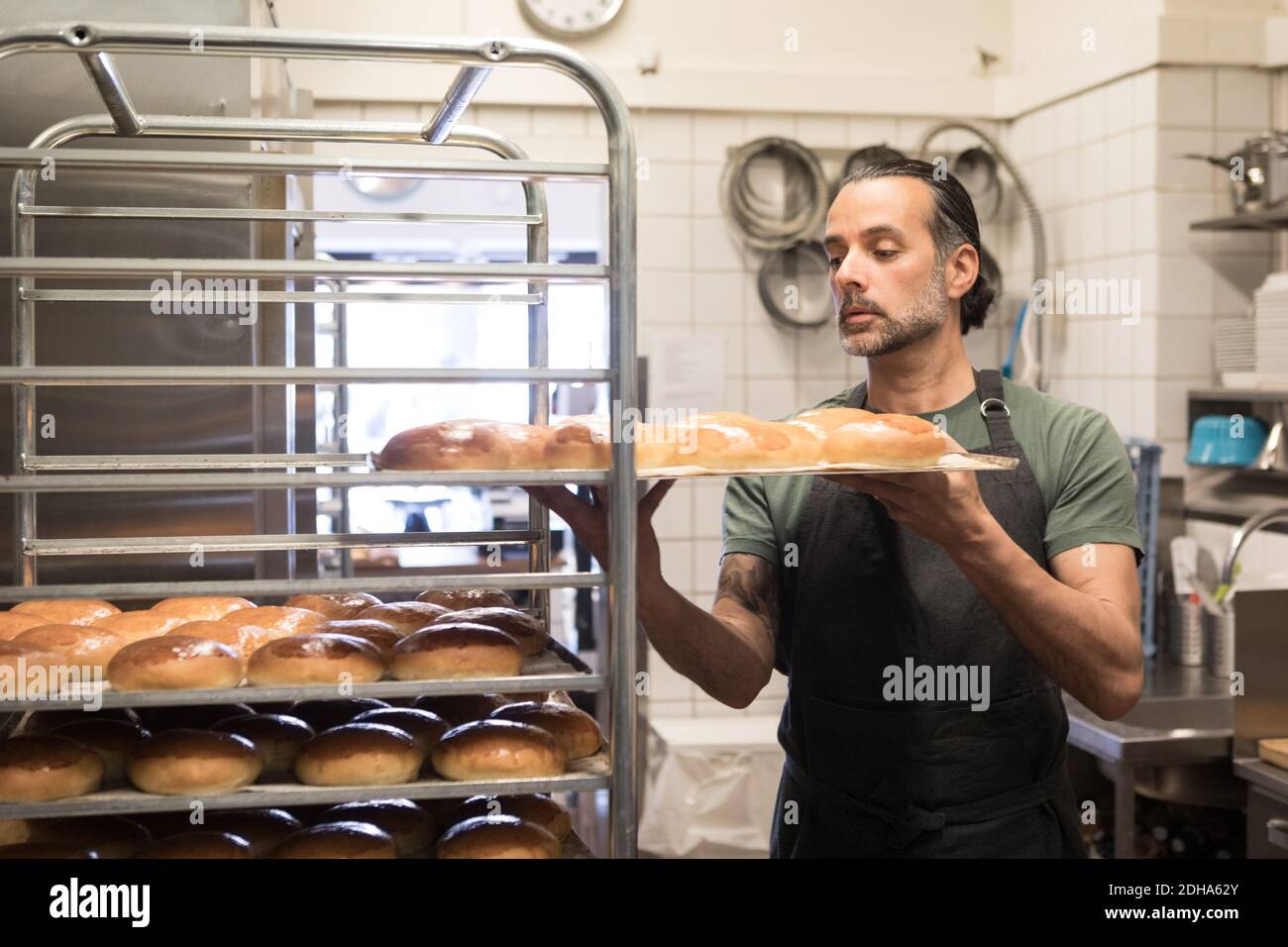 Confident mature male owner holding baking sheet with freshly baked ...