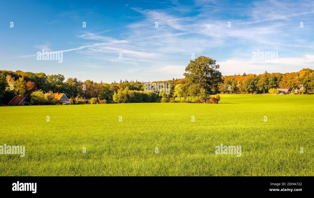 View of green fields, farms and dense forests located at the Tankenberg ...