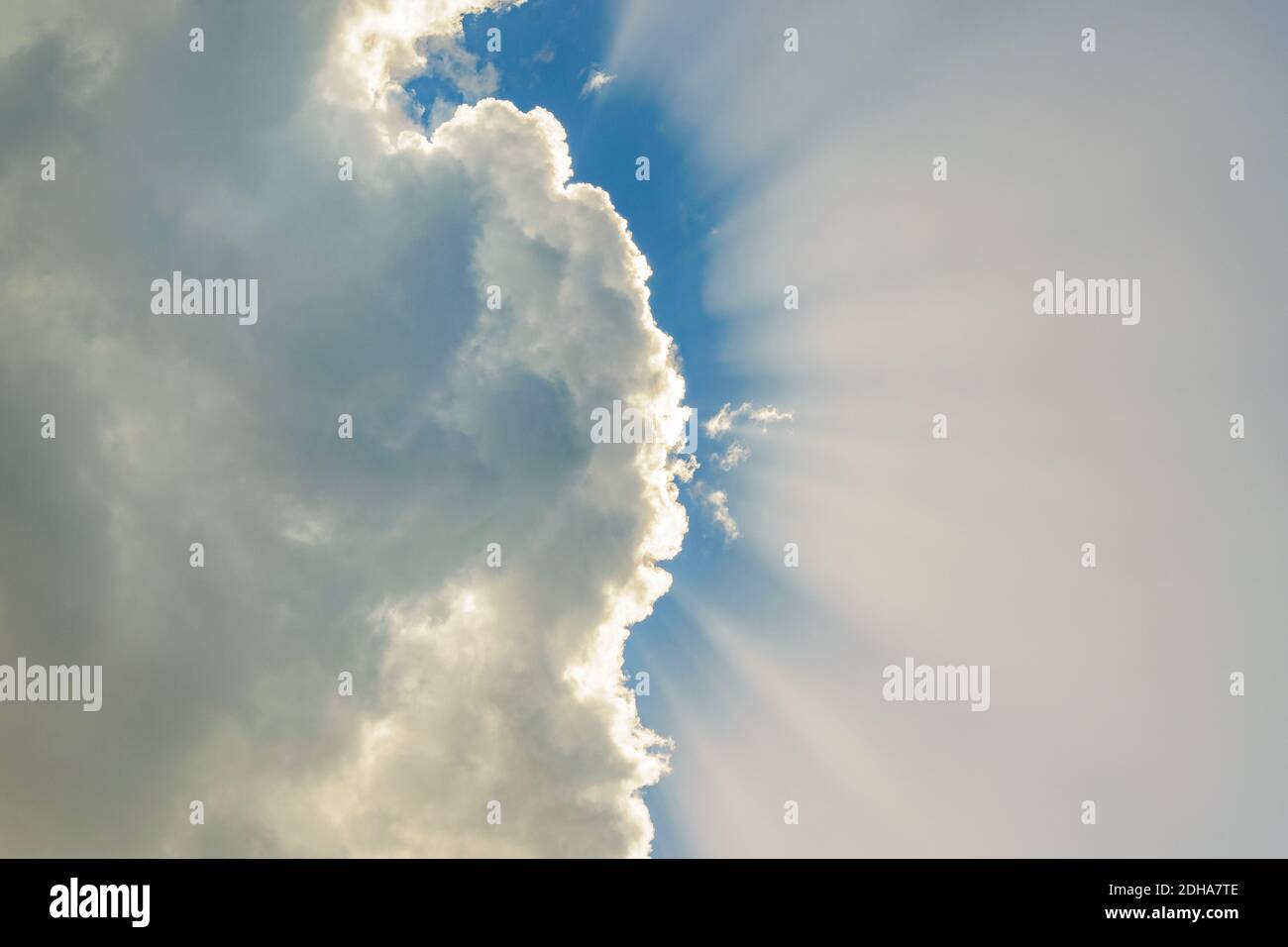 Low angle background hi-res stock photography and images - Alamy
