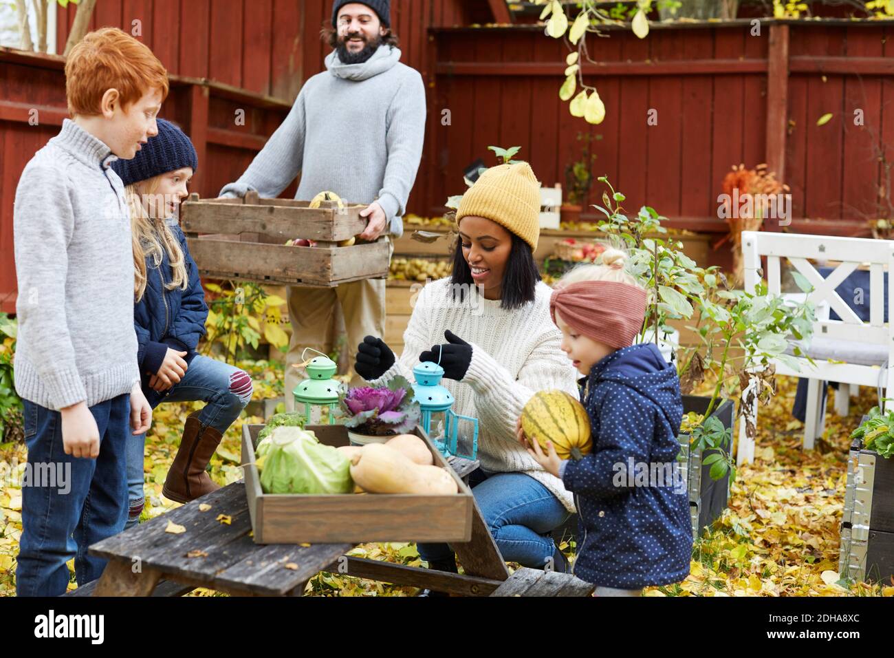 Male and female collecting fresh produce from domestic garden while ... Male and female collecting fresh produce from domestic garden while ...