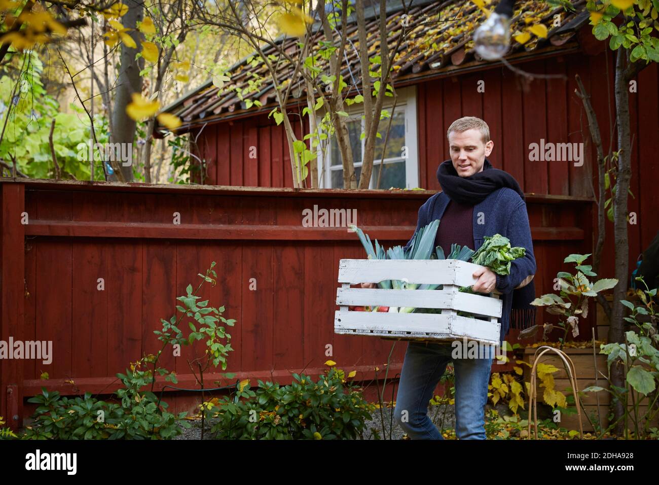 Man carrying freshly produce in basket at yard Stock Photo - Alamy