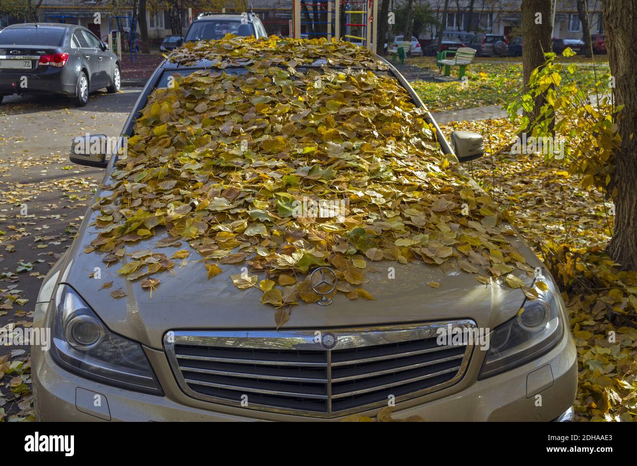 Car covered with fallen leaves Stock Photo - Alamy