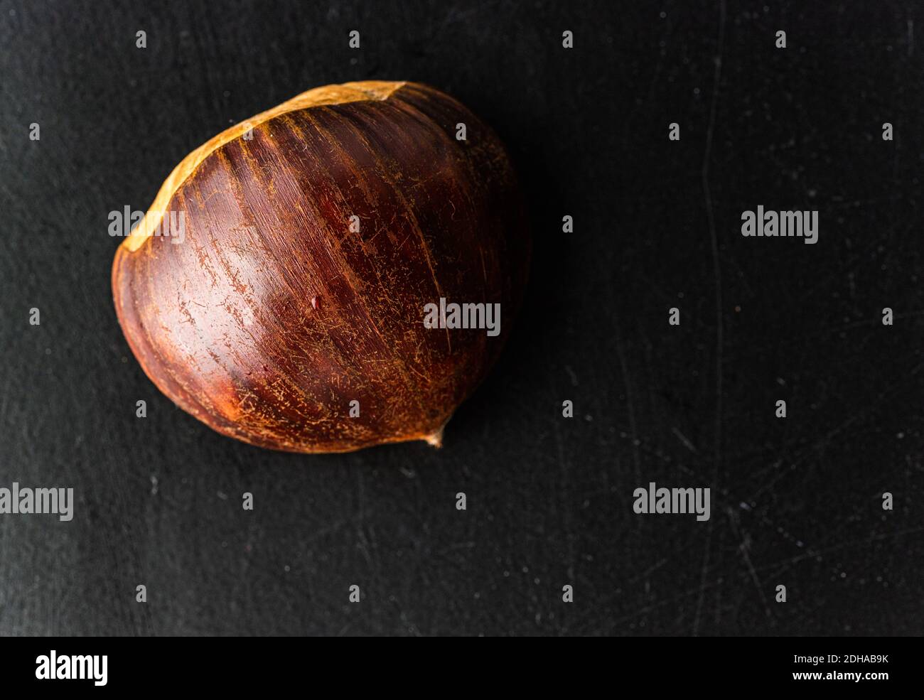 Fresh one chestnut isolated on black background Stock Photo - Alamy