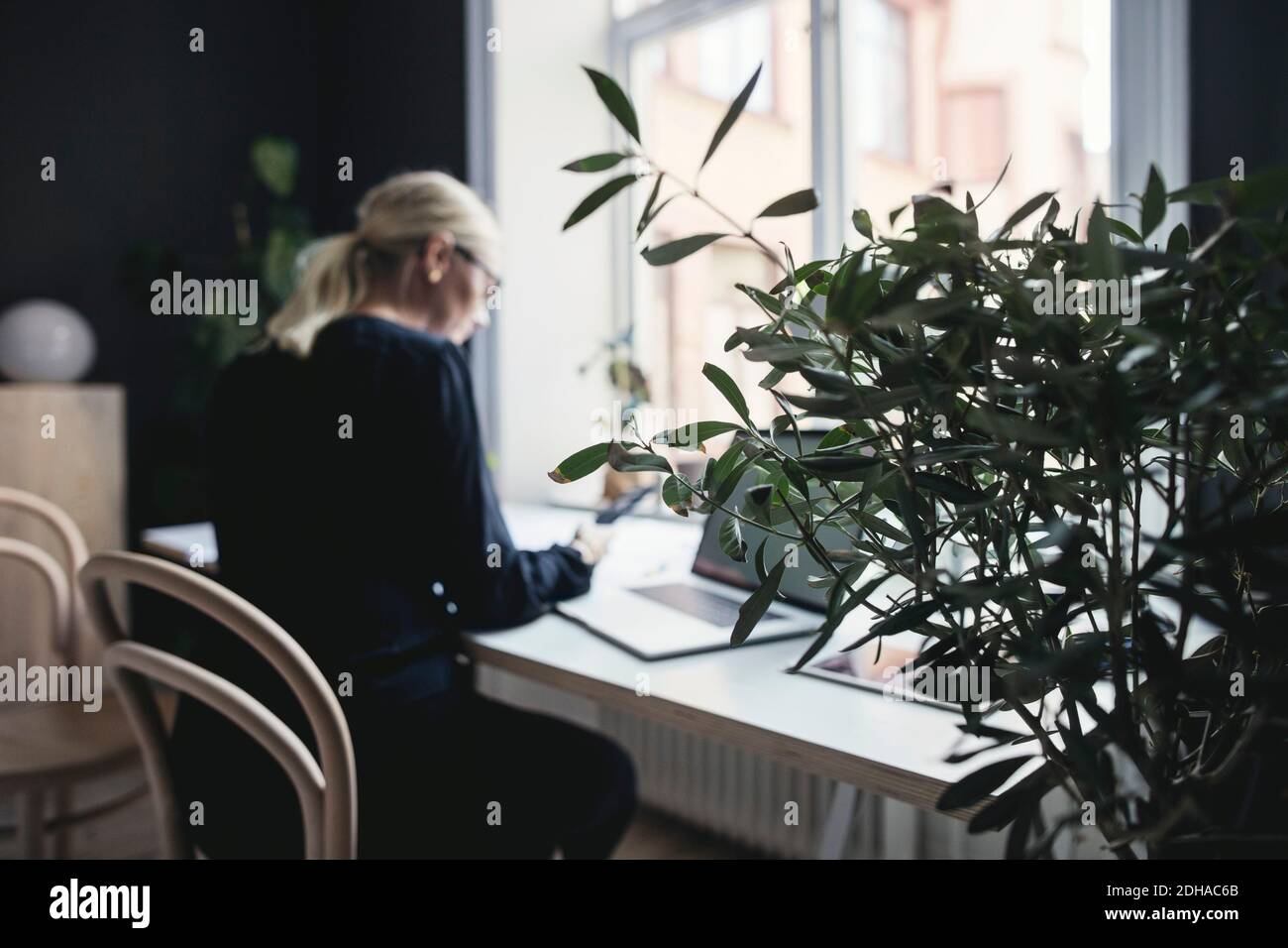 Plant by female engineer working at desk in home office Stock Photo - Alamy