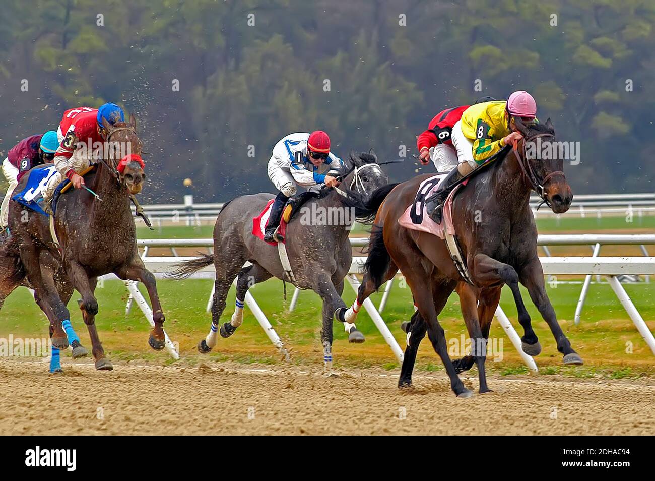 Jocky hi-res stock photography and images - Alamy