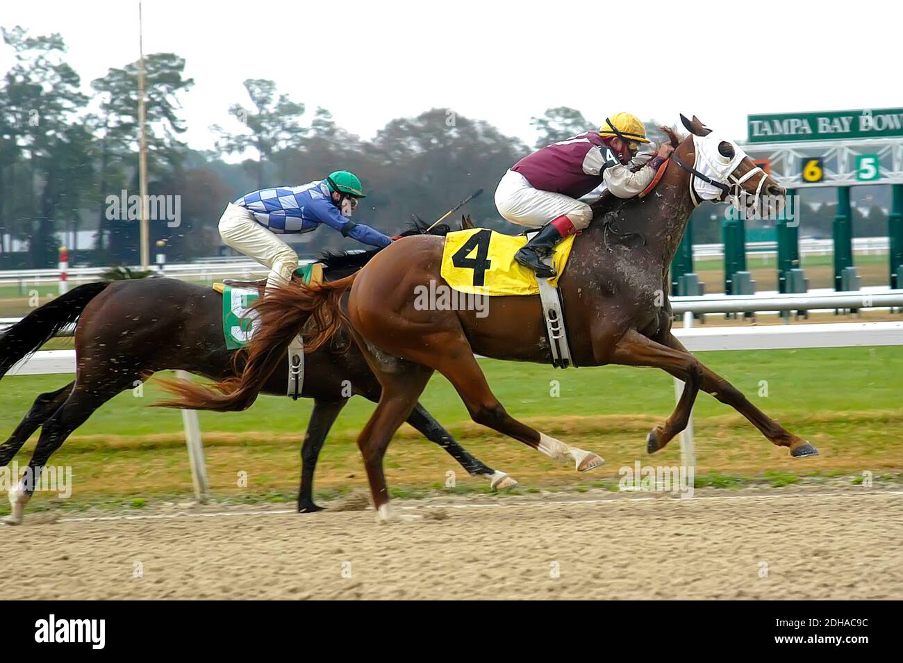 Sports thoroughbred track hi-res stock photography and images - Alamy