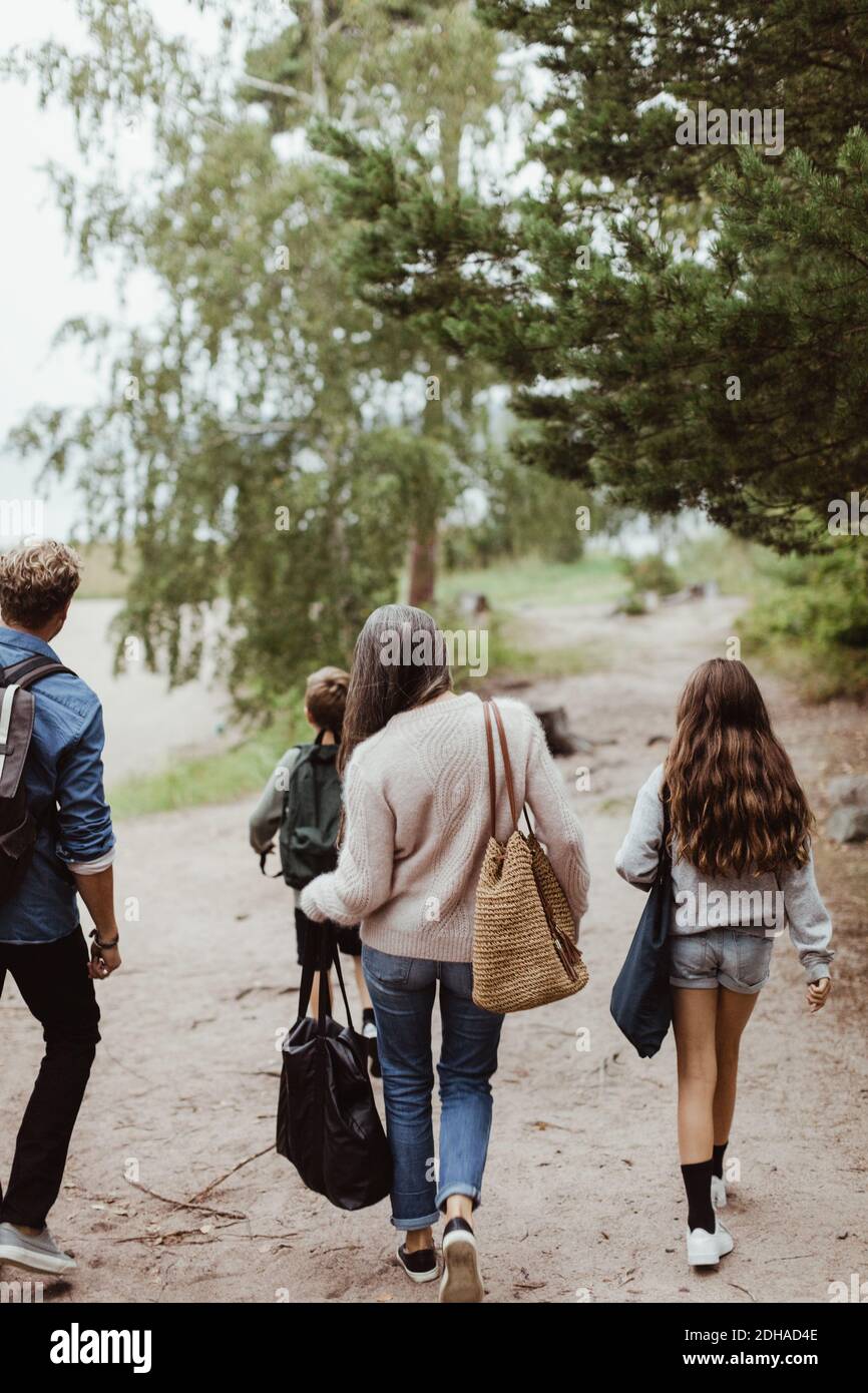 Human family tree hi-res stock photography and images - Alamy