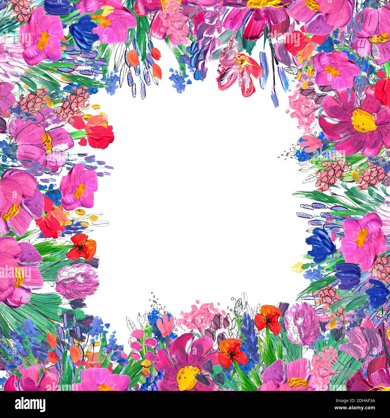 Hand-painted floral border. Wildrlowers on white background. Flower ...