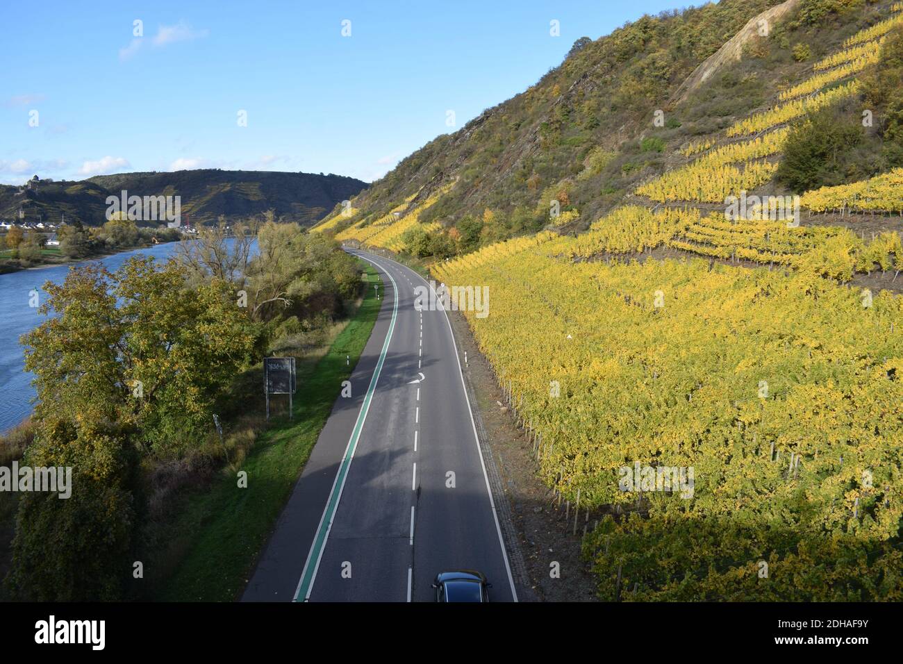 autumn colors in Mosel valley near Niederfell Stock Photo - Alamy