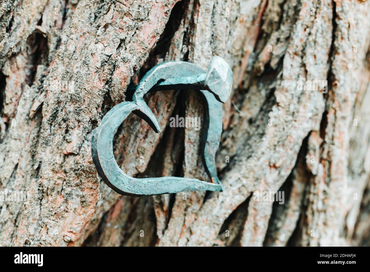 Forged heart and nail love concept Stock Photo - Alamy
