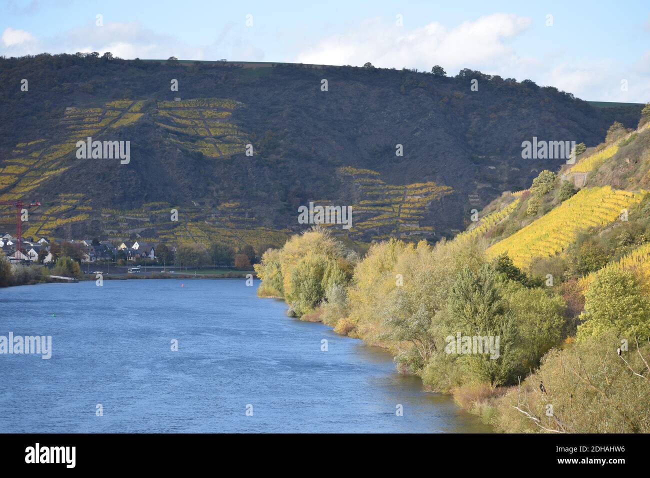 autumn colors in Mosel valley near Niederfell Stock Photo - Alamy