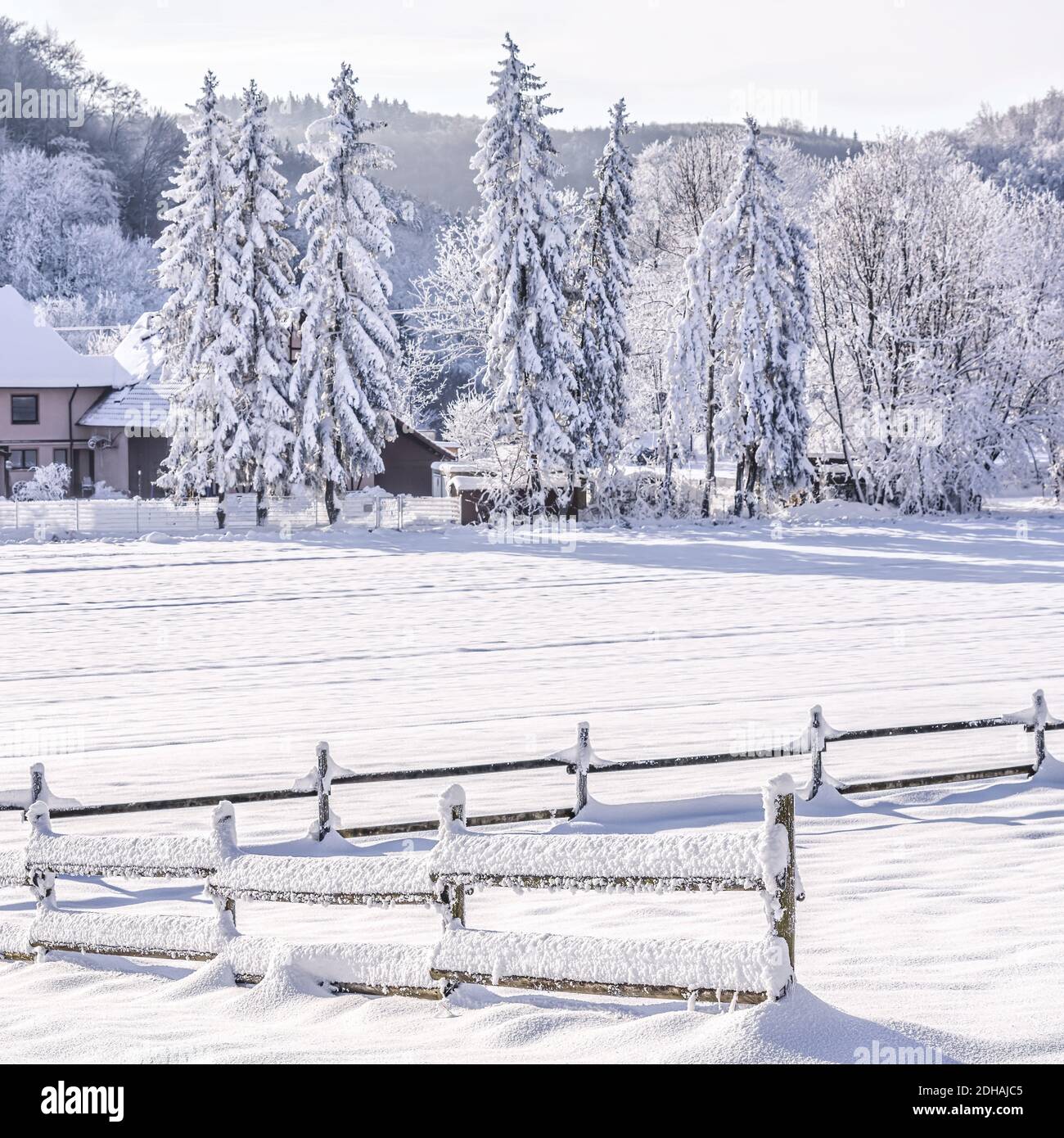 Snowy winter landscape with wooden field fence and trees on the Swabian ...