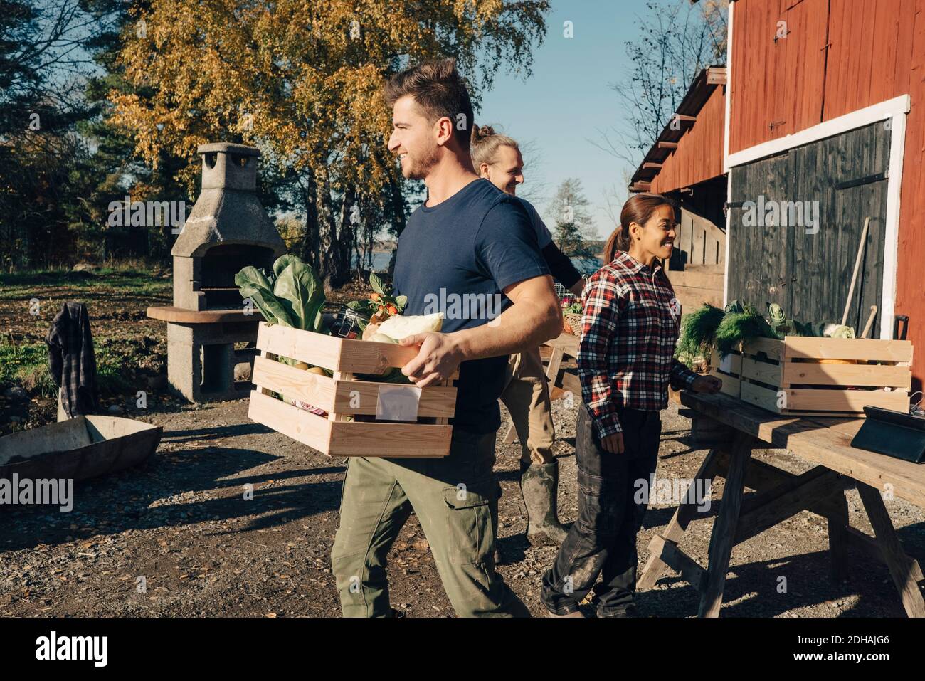 Mid adult man carrying crate full of vegetables at farmer's market ...