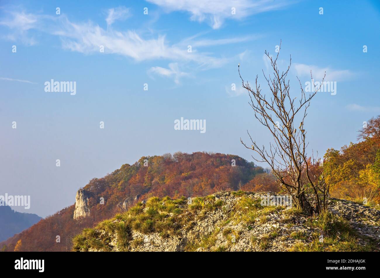 Autumn mountainscape with limestone rocks and bushes on the Swabian ...