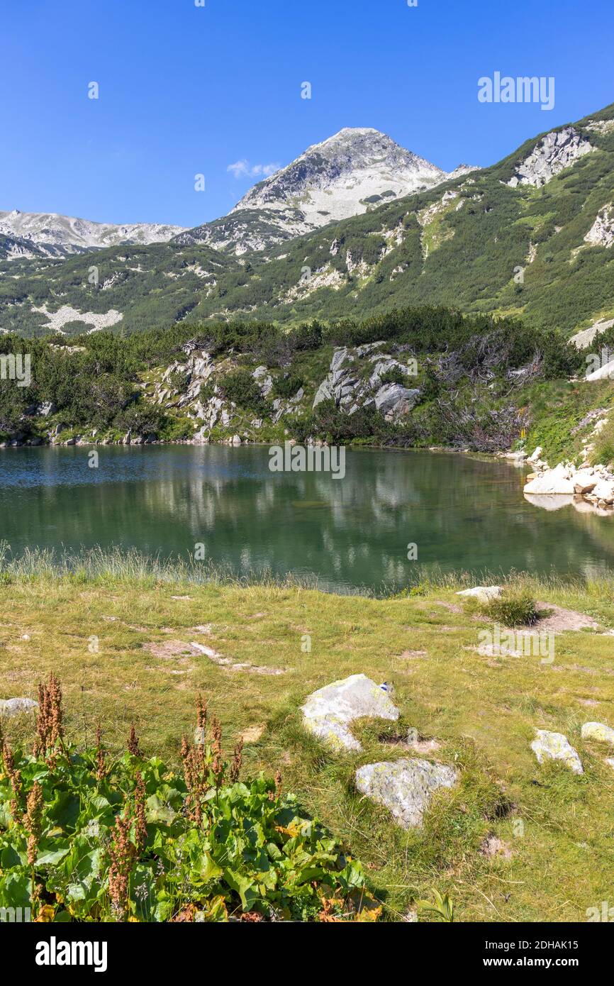 Okoto hi-res stock photography and images - Alamy