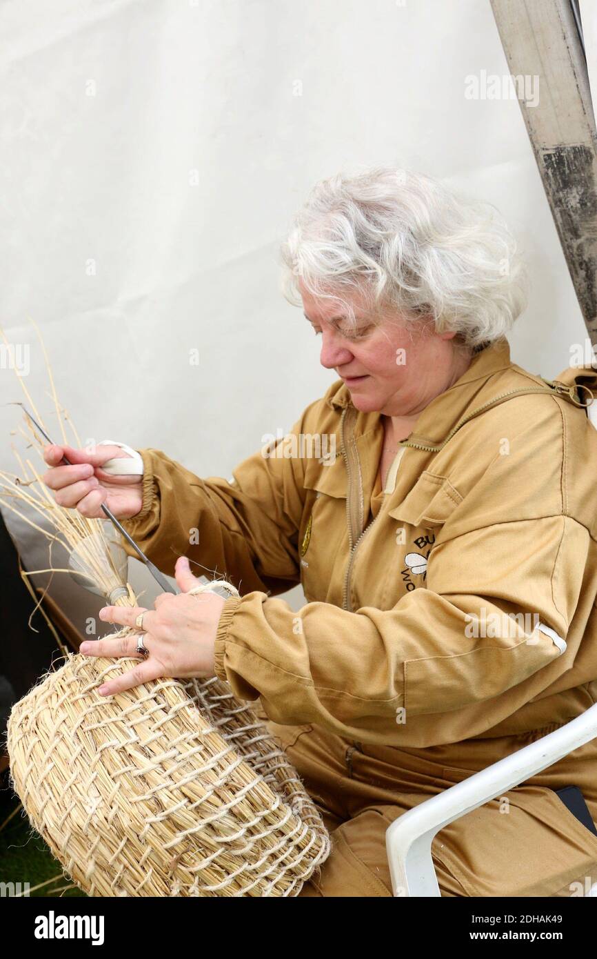 Ayr Flower Show 2016, Ayrshire, Scotland, UK. The annual flower show with displays ...
