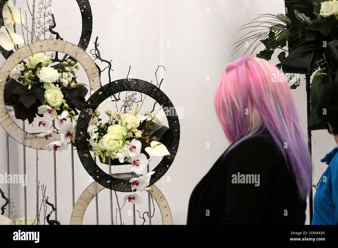 Ayr Flower Show 2016, Ayrshire, Scotland, UK. The annual flower show with displays ...