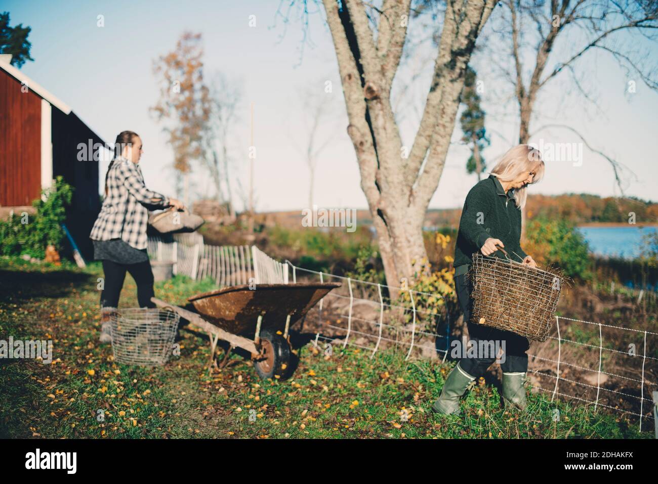 Working at farm hi-res stock photography and images - Alamy